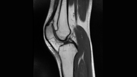 Life Imaging Centre (Best in class Diagnostics)